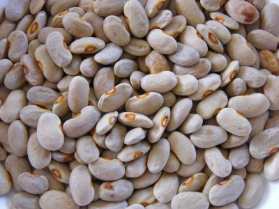 Heirloom Beans – Heritage Food Crops Research Trust