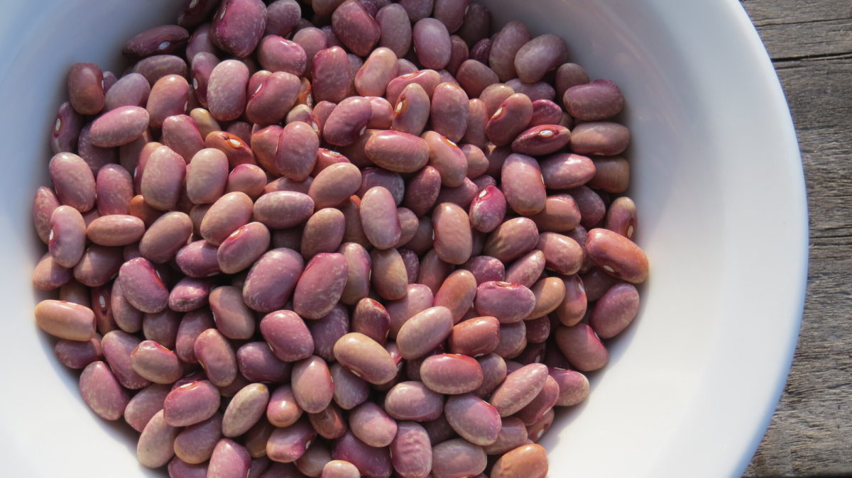 Heirloom Beans – Heritage Food Crops Research Trust